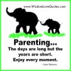 What Is Parenting Wisdom Love Quotes